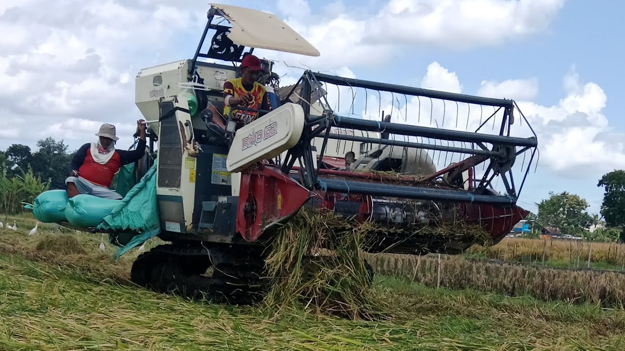 Combine bimo 102, motong padi rebah - YouTube
