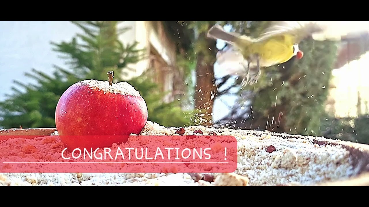 CONGRATULATIONS ! - YouTube