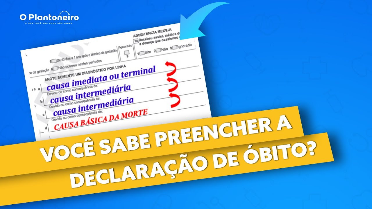 Você sabe preencher uma DO corretamente? - YouTube