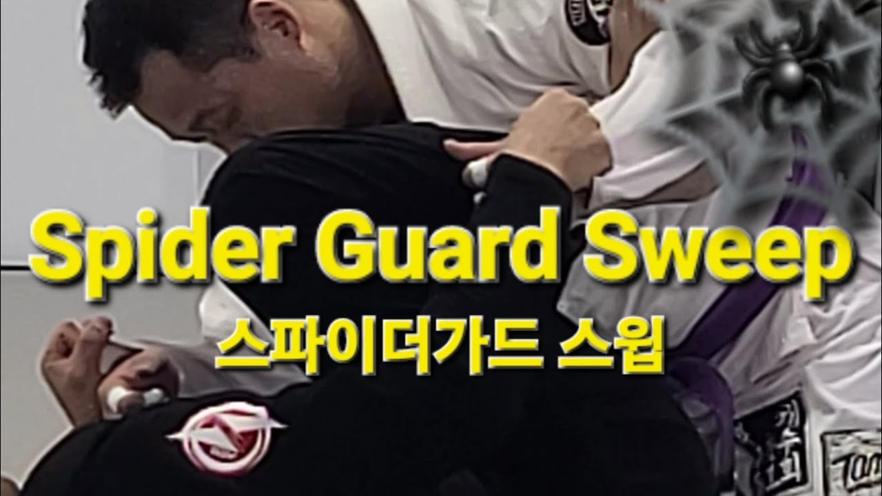 스파이더가드 스윕 Spider Guard Sweep (기술도움 : 고섭연) #스파이더가드 #SpiderGuard - YouTube