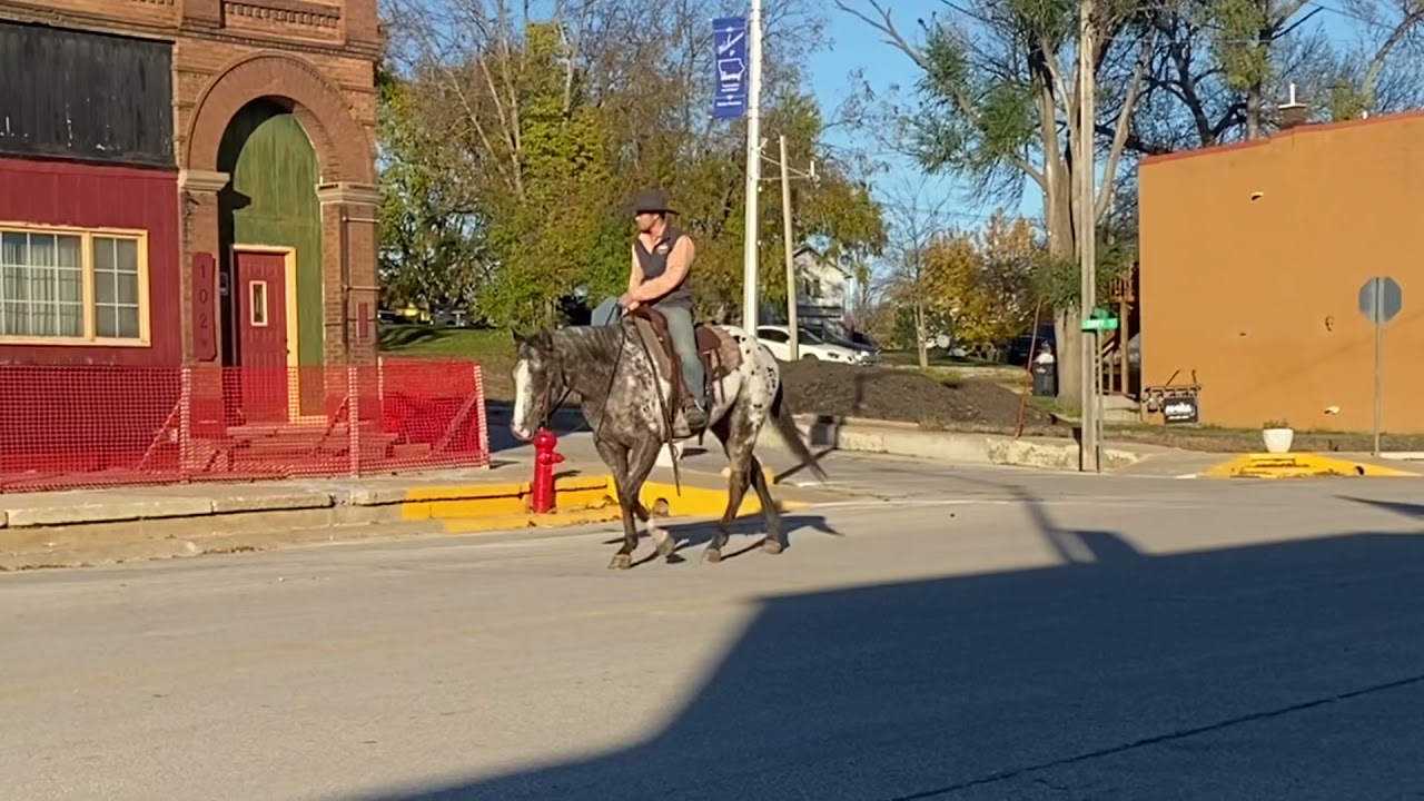 October 31, 2021 - YouTube