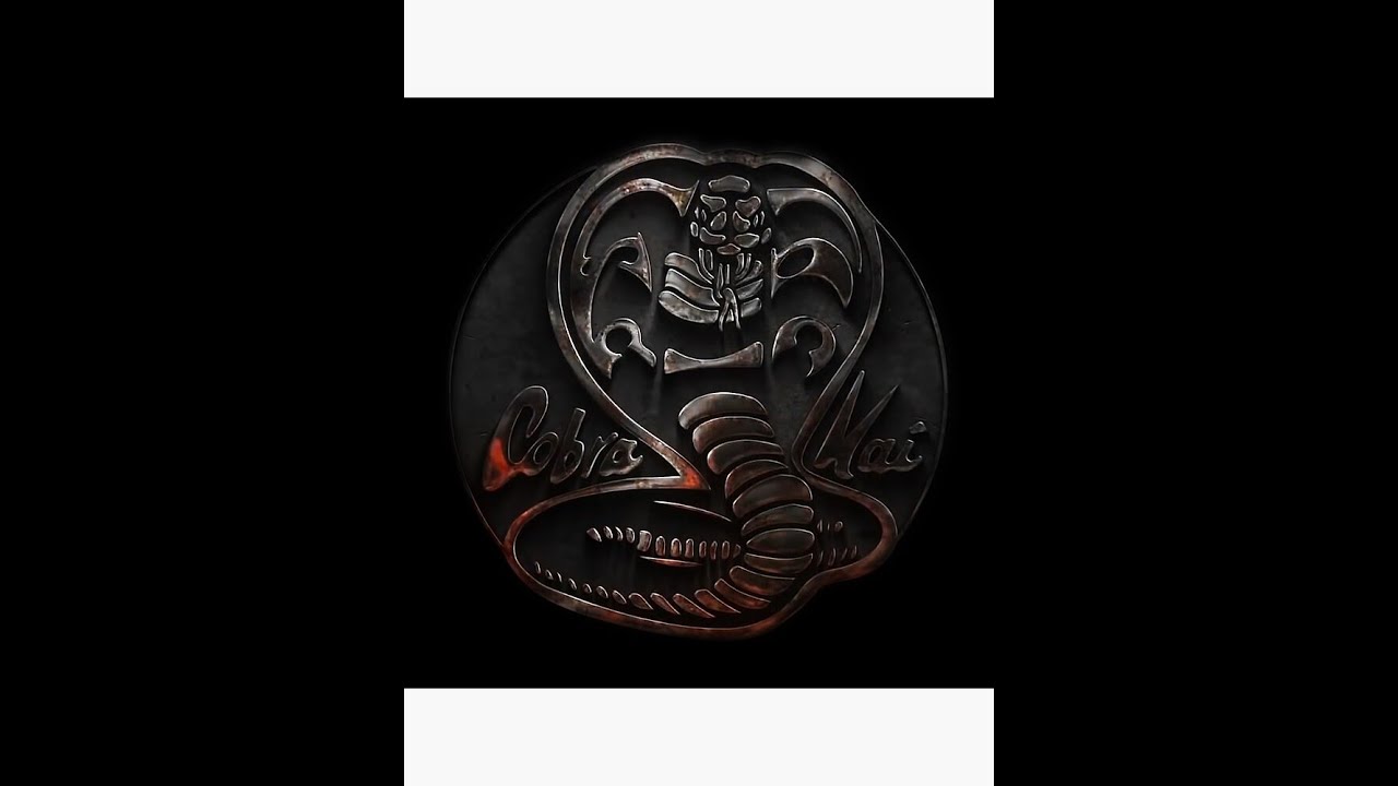 cobra-kai-miguel-vs-eli-hawk-final-fight-2021-4x09-miguel-must-watch