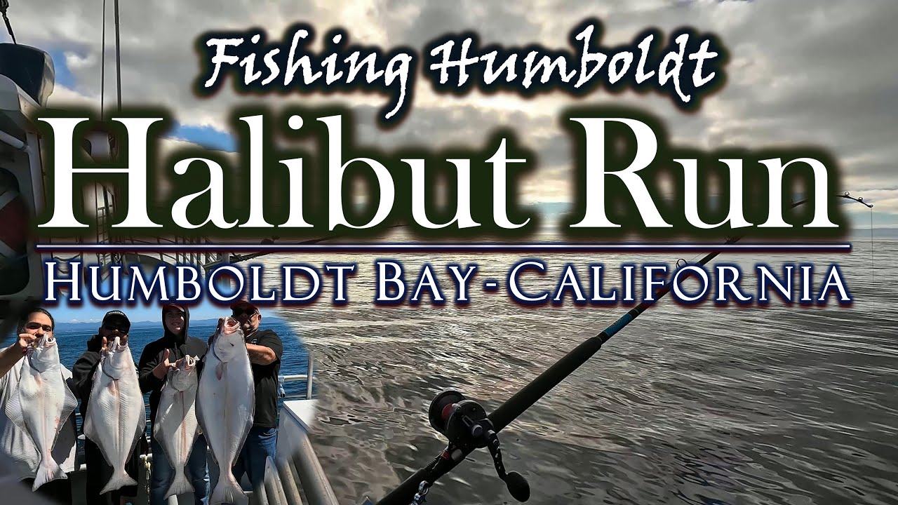 Fishing Humboldt: Halibut Run on the North Coast | Humboldt Bay ...