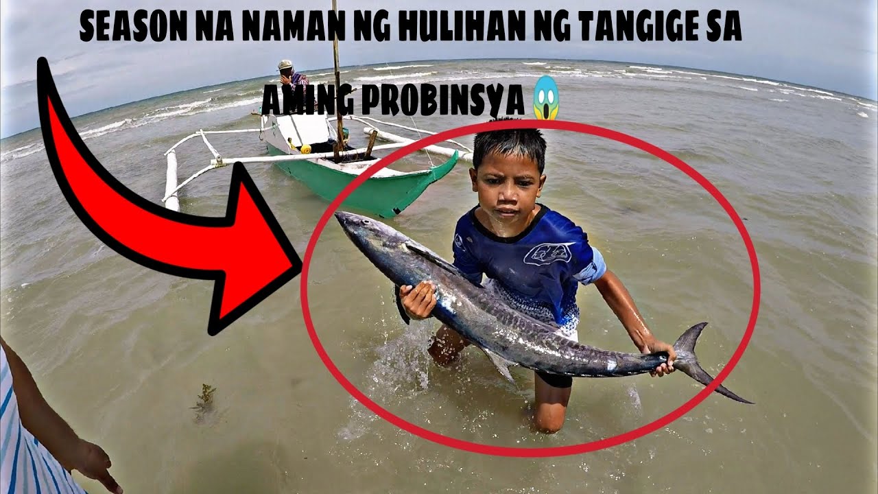 Season na naman ng hulihan ng TANGIGE, tyempo sa paghula ng bagyong ...