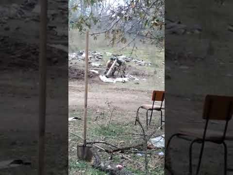 120 mina atan batareyamiz. Zefer yolu uzerindeki movqelerde.