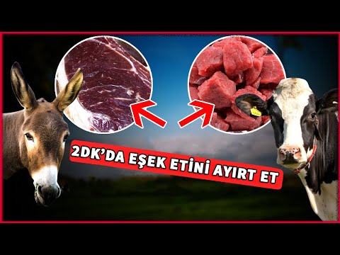Artık EŞEK Etini Hemen Ayırt Edeceksin, İZLEMEDEN Sakın Et Alma