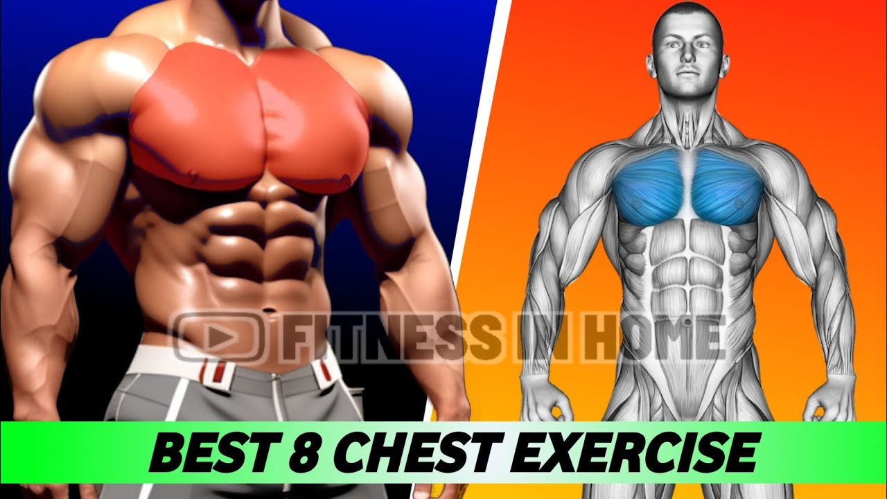 Best 8 Chest Exercises Build Workout Home Chest Exercise Fitness