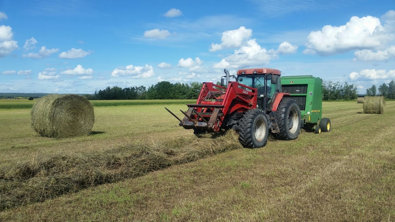 Hay 17 is done!! - YouTube