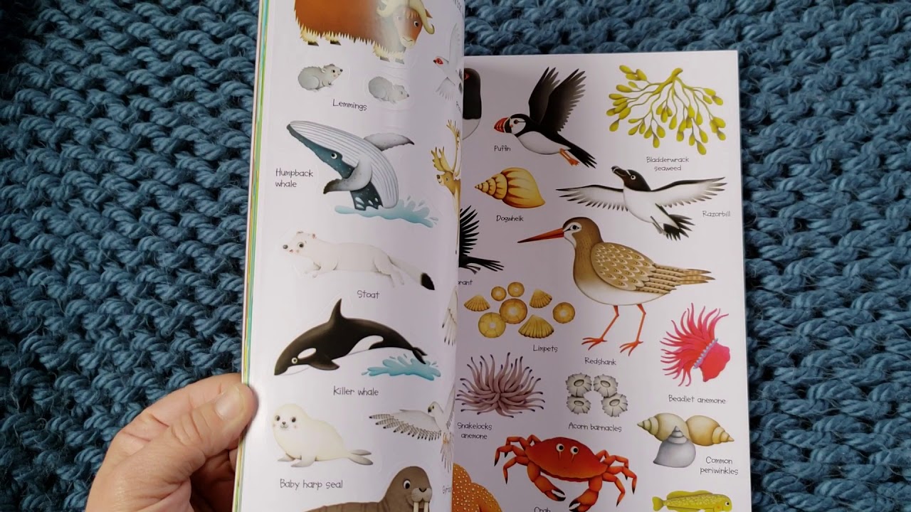 Usborne Books & More- First Sticker Book Nature - YouTube