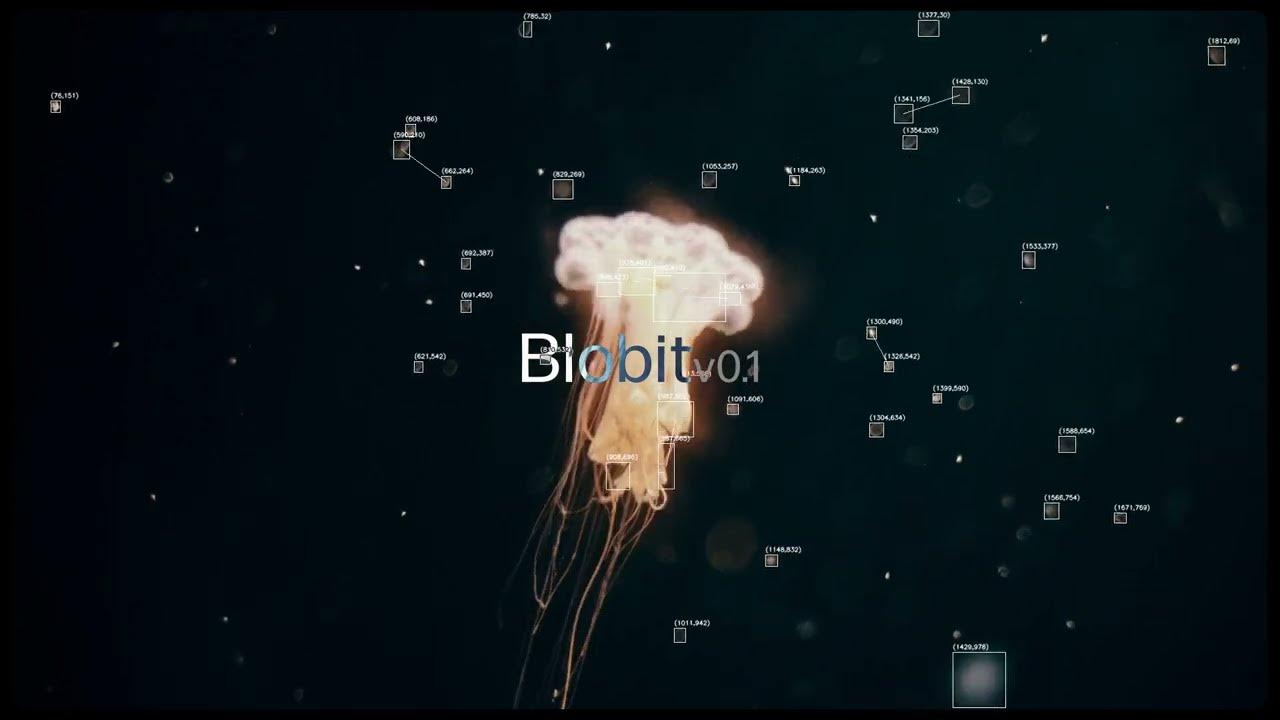 Blob Tracking Simplified | Blobit User Guide - YouTube
