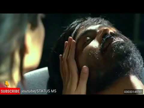 Shehla gul new whatsapp status by status ms