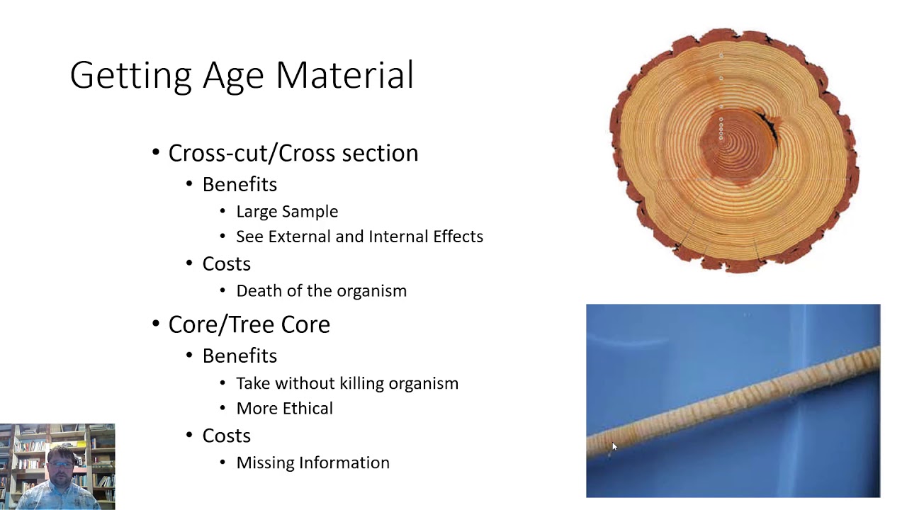 Age and Growth of Trees - YouTube