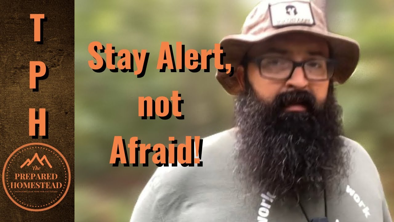 Morning walk - Stay Alert, not Afraid. - YouTube