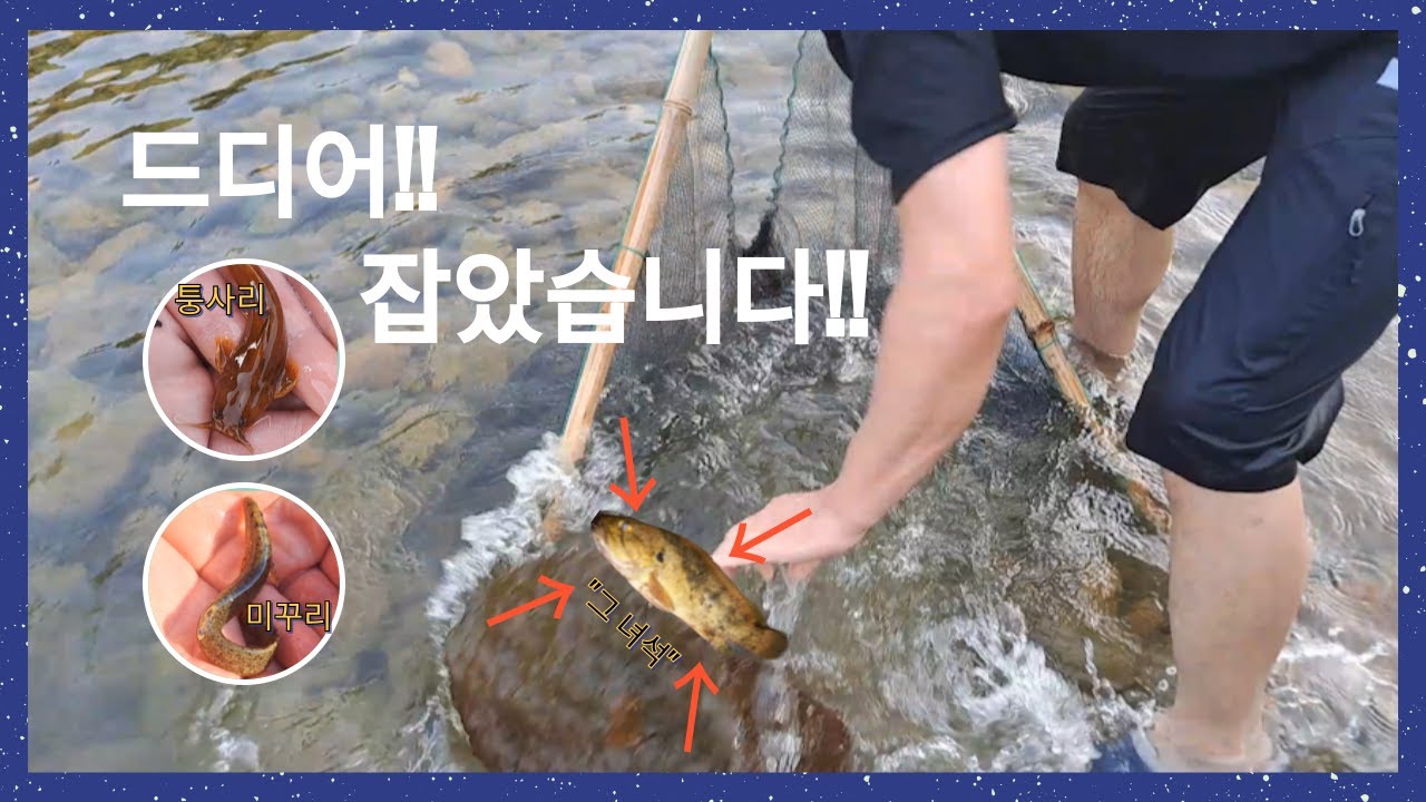 드디어 그 녀석을 잡았습니다 Youtube