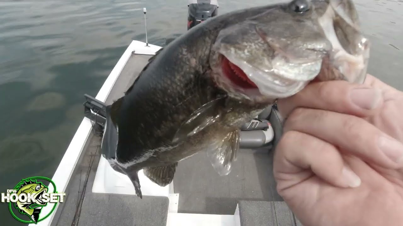 Lake Lewisville Texas Fall Bass Fishing Using Red Crawdad Square Bill ...