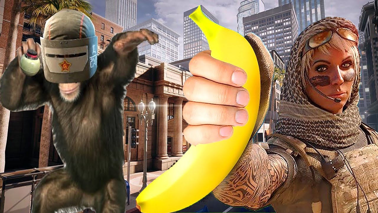 MONKEYS PLAY RAINBOW SIX SIEGE - YouTube