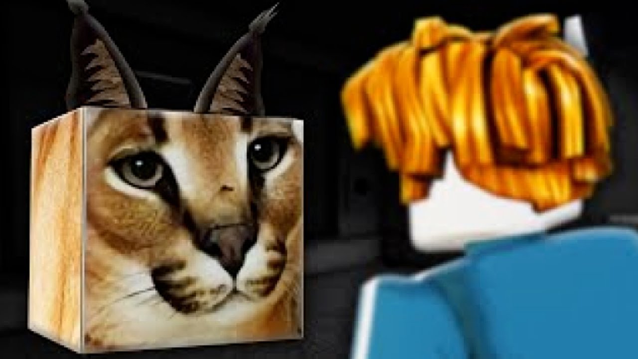 ROBLOX Vamos Jogar Escape from Floppa Killer - YouTube