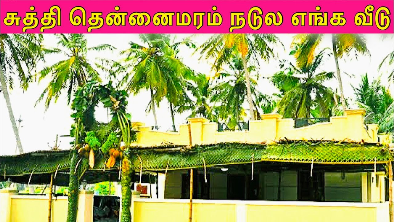 பொள்ளாச்சி பண்ணை வீடு | Home tour vlog | Pollachi pannai veedu | Garden ...