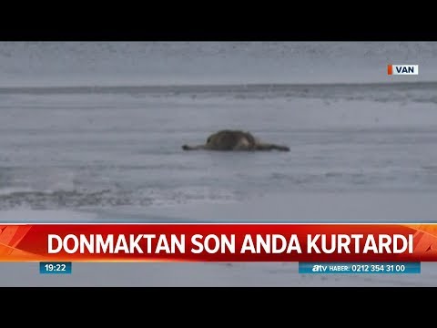 Donmaktan son anda kurtardı - Atv Haber 26 Aralık 2018