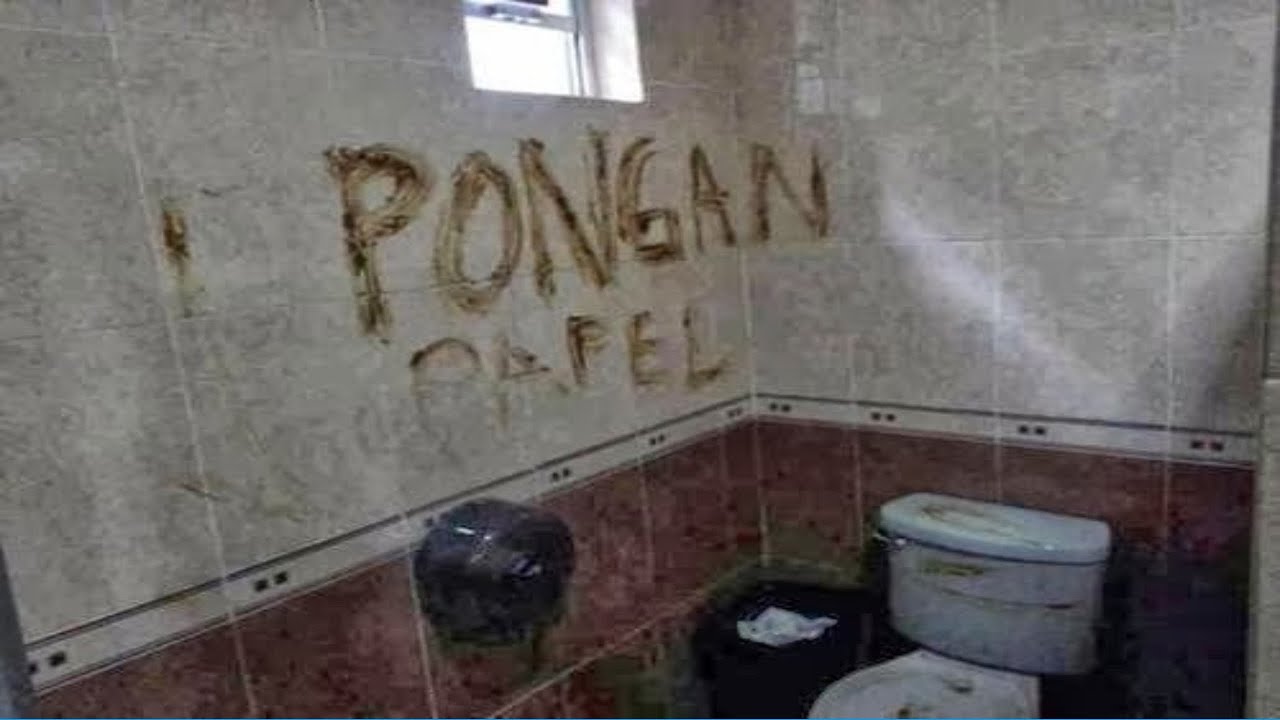 Cagar en la escuela - YouTube