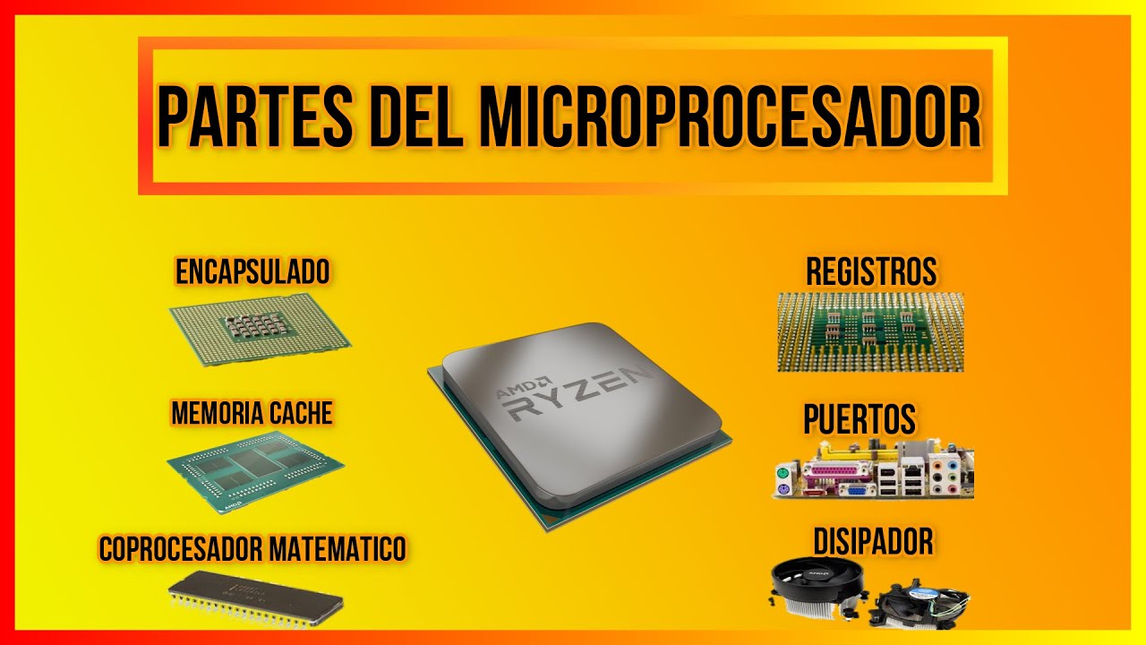 Partes del Microprocesador (Pc Locuras) #Computadora #Componentes #Amd ...