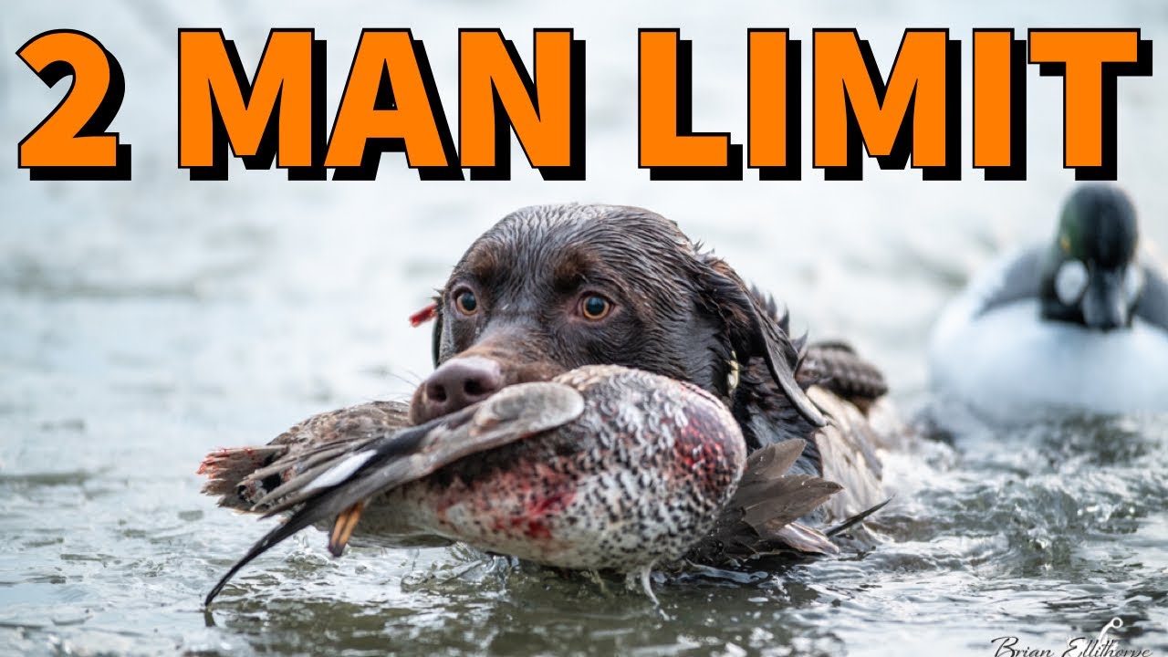 LIMITED OUT Hunting Over Ice | Private Marsh Duck Hunting - YouTube