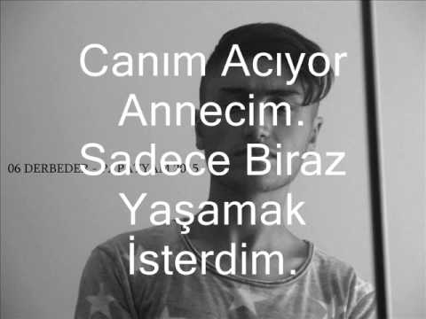 06 DERBEDER - PAPATYAM 2015