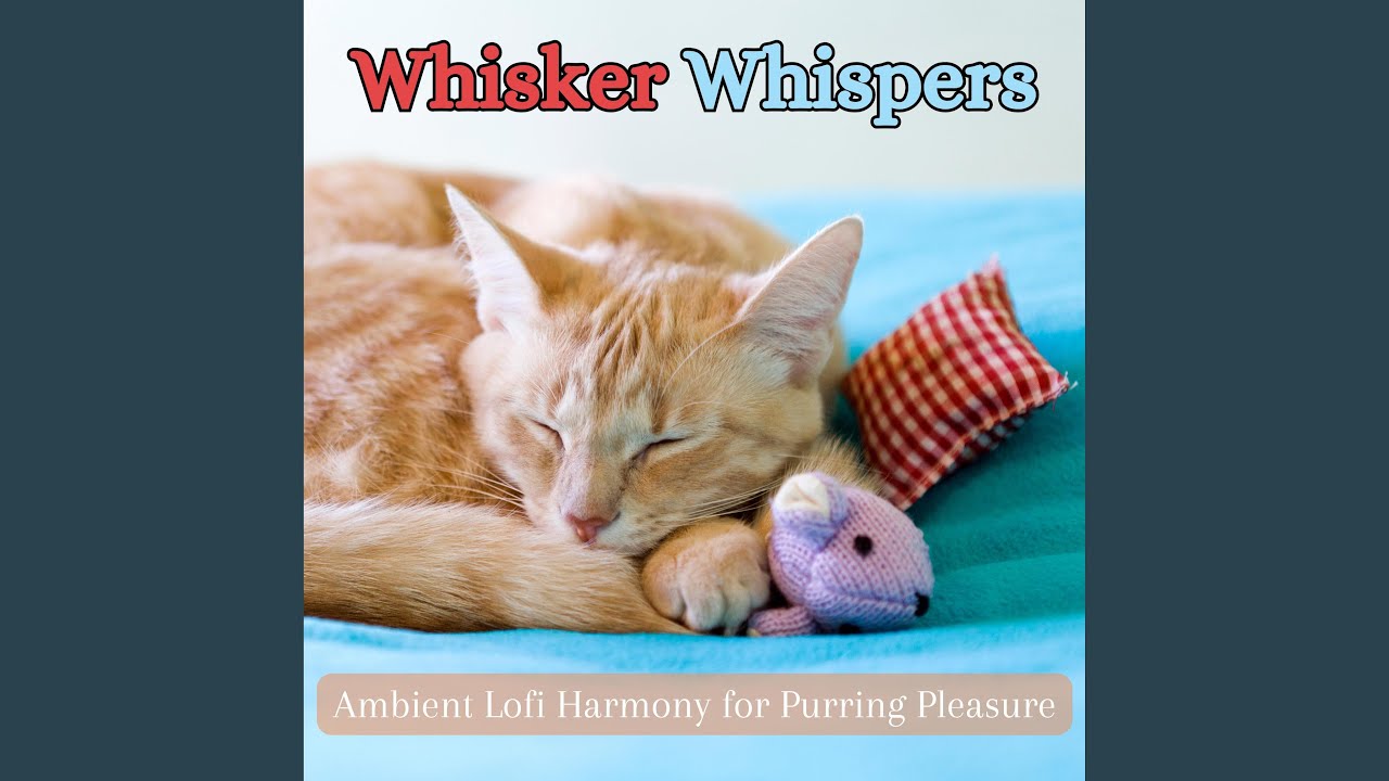 Tranquil Tails: Lofi Feline Serenades (feat. Relax My Kitten & Cat ...