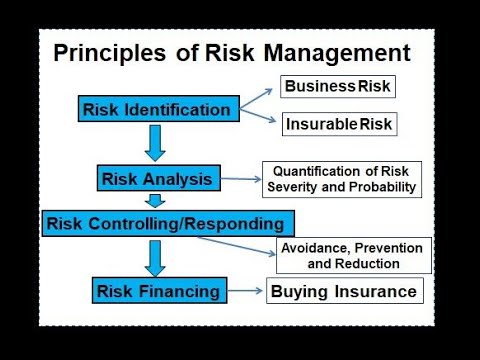 Risk Management definition | Principles of Risk Management ...