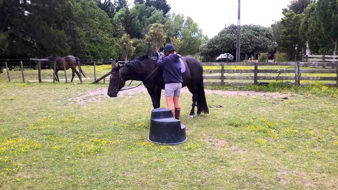 Being mounted - YouTube