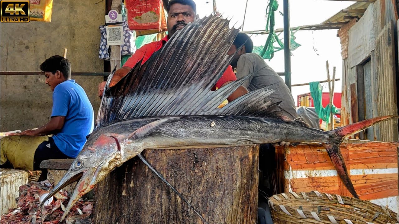 KASIMEDU 🔥 SPEED SELVAM | MAYIL KOLA FISH CUTTING VIDEO | 4K VIDEO | KM ...