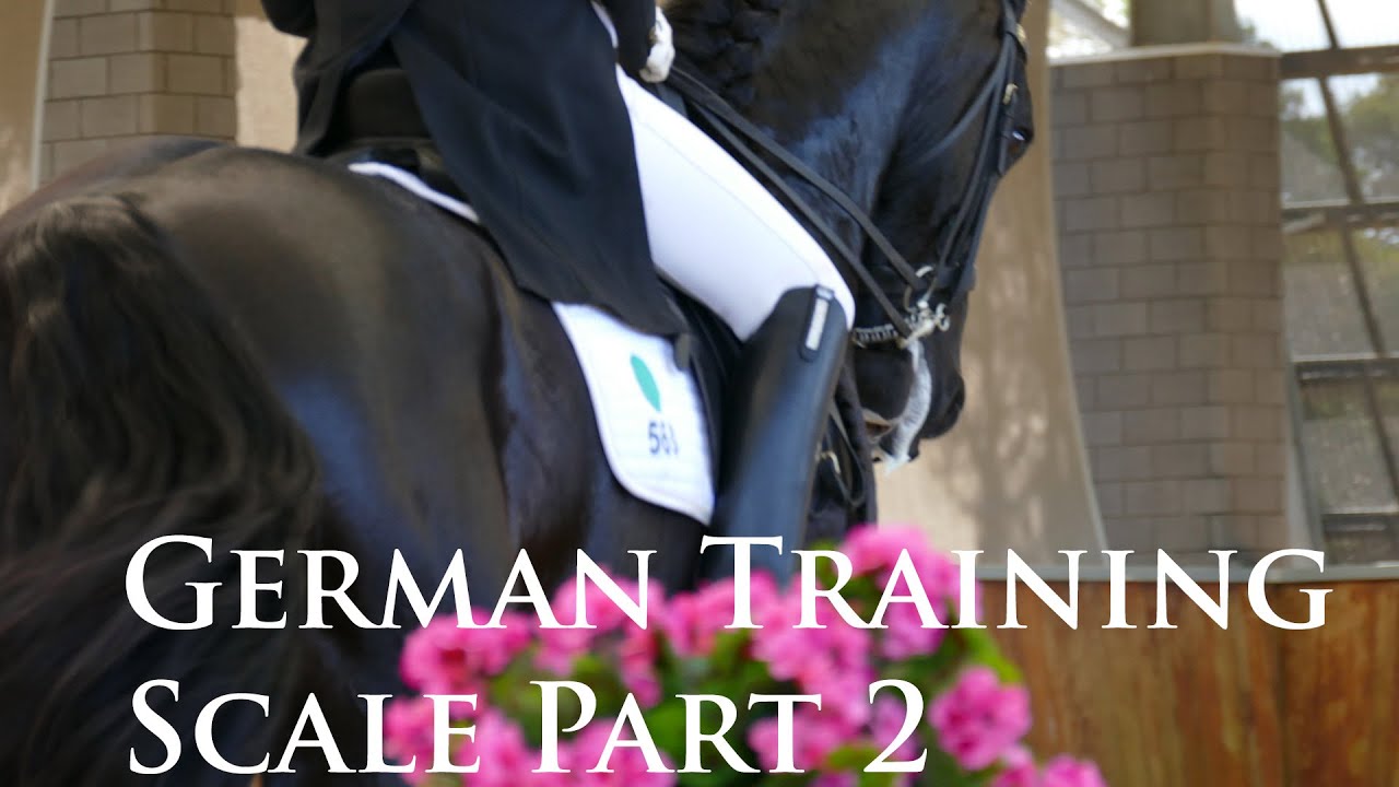 THE GERMAN TRAINING SCALE PART 2 - Dressage Mastery TV Episode 44 - YouTube