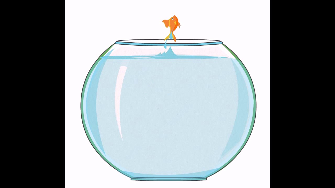 Fish ani in flash - YouTube