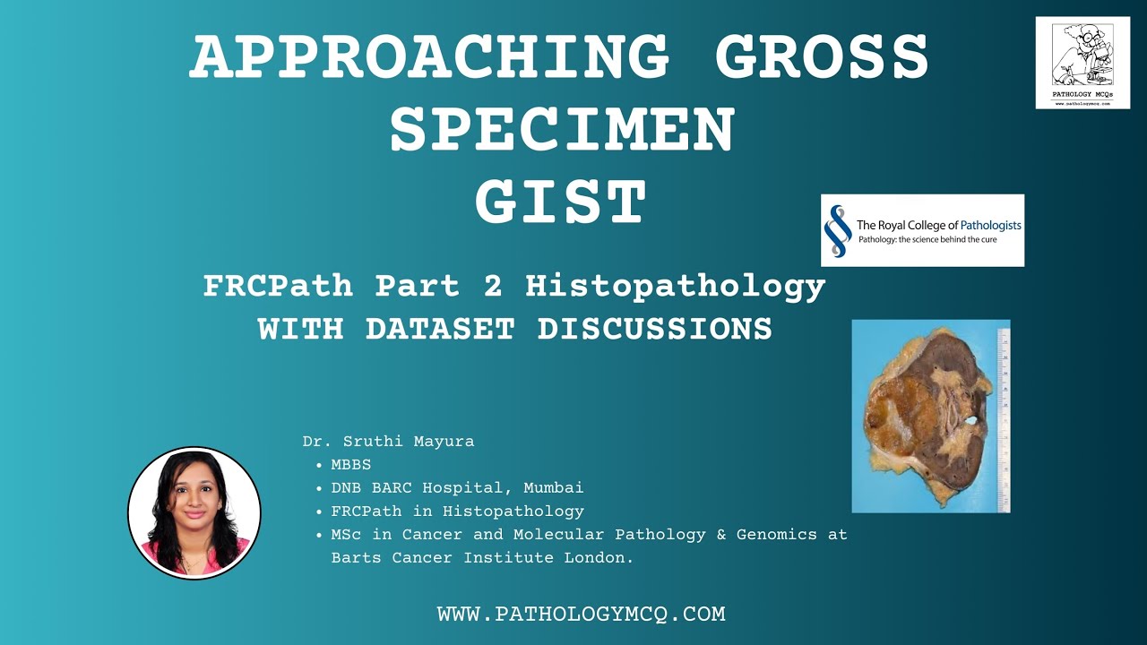 Approaching a gross specimen| FRCPath Part 2 Histopathology course| GIST dataset discussion ...