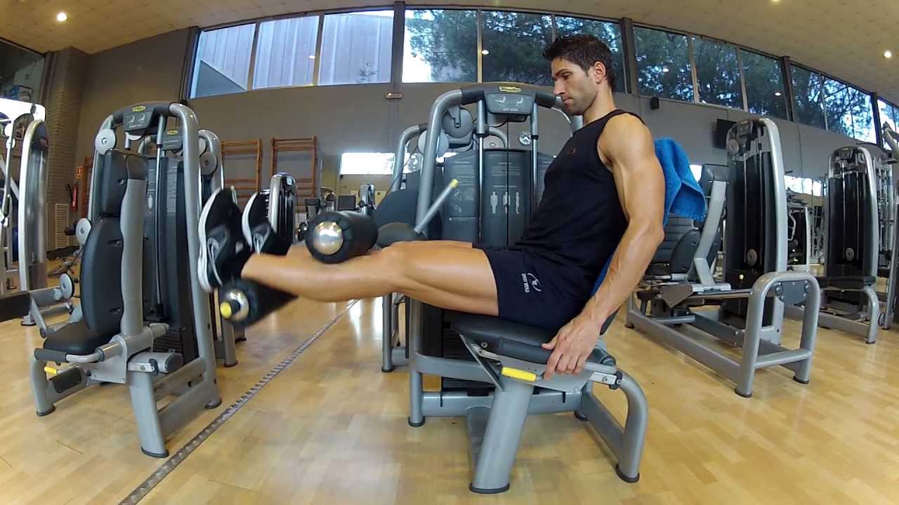 Leg Curl - Bíceps femoral (isquiotibials) - YouTube