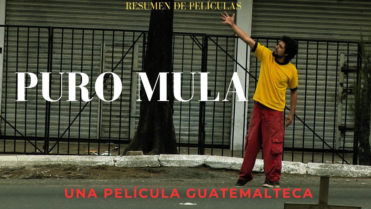 PELÍCULA PURO MULA 👀 | Te la resumo a lo chapín - YouTube