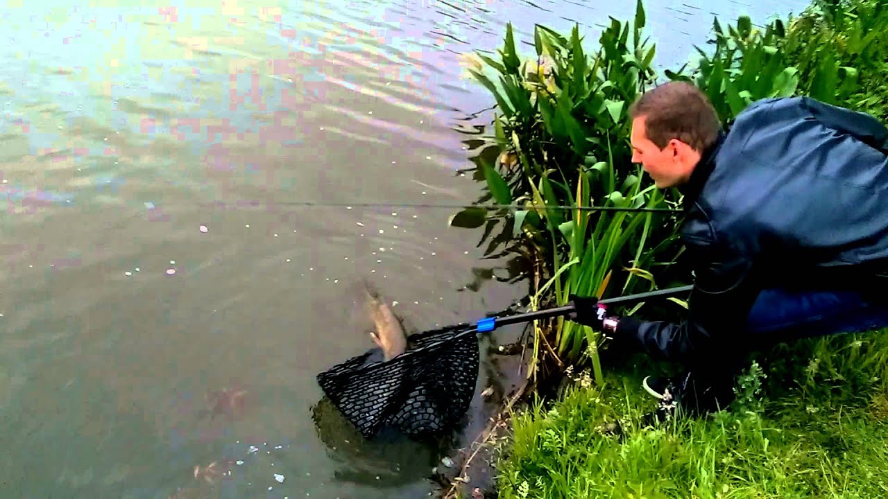 Snoek in vijver van oud Gastel Savage gear - YouTube