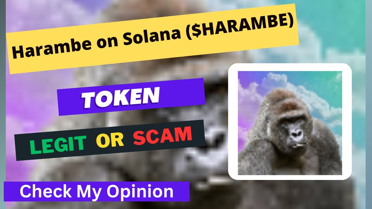 Harambe on Solana (HARAMBE) Token is a Legit or Scam | Is HARAMBE token Legit or Scam ? - YouTube