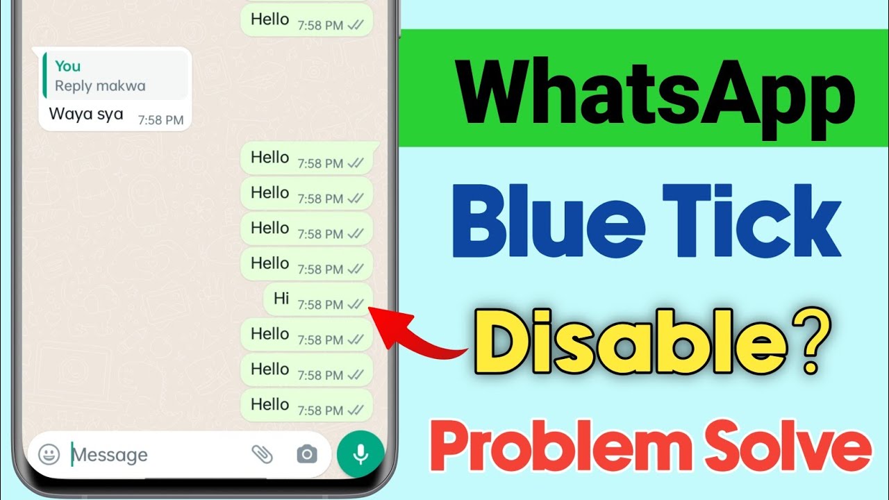 whatsapp message seen but no blue ticks | whatsapp blue tick not ...