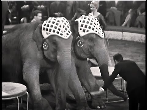 Stars in der Manege 1959 aus dem Zirkus Krone in München u. a. mit Robert Lembke und Heidi Brühl