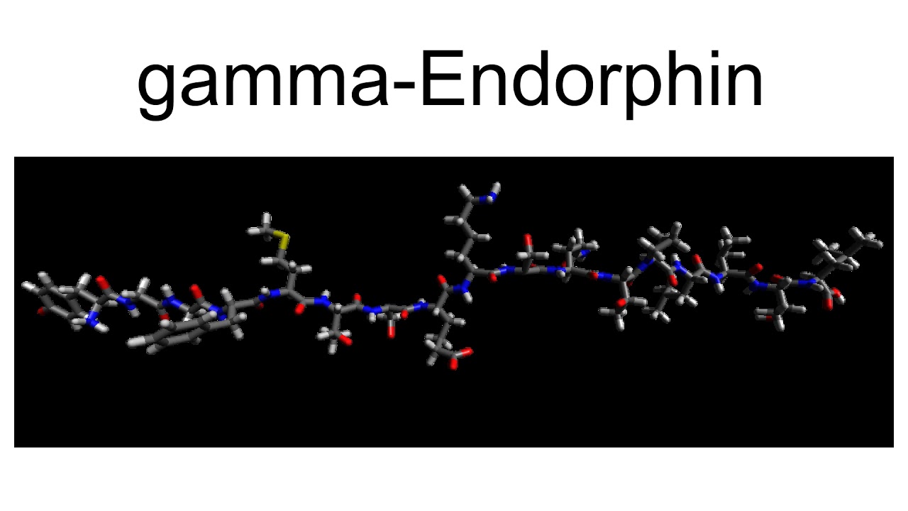 Gamma-Endorphin - YouTube