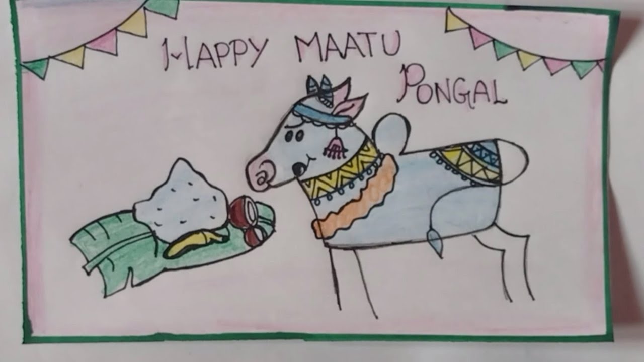 Maatu Pongal Drawing | How To Draw Maatu Pongal Festival Drawing Easy ...
