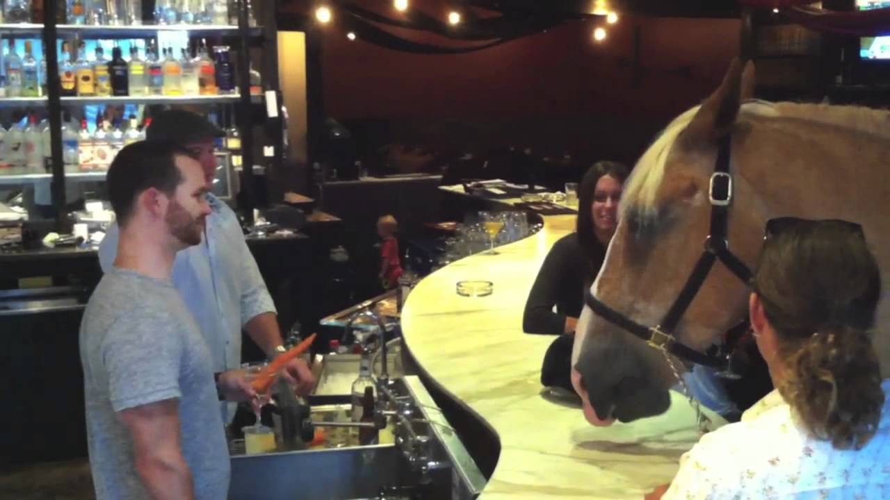 Bob at the Silly Goose Bar in Memphis TN - YouTube