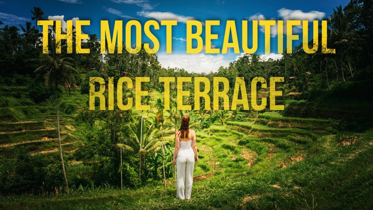 This Café Is A Secret Entrance To Tegallalang Rice Terrace! - YouTube