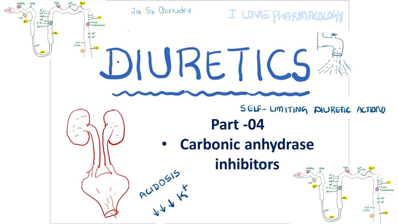 Diuretics_04_Carbonic Anhydrase Inhibitors_Mild Diuretics_Acetazolamide ...