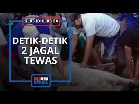 Begini Detik-detik 2 Warga yang Meninggal saat Sembelih Hewan Kurban: Lemas Masih Pegang Golok