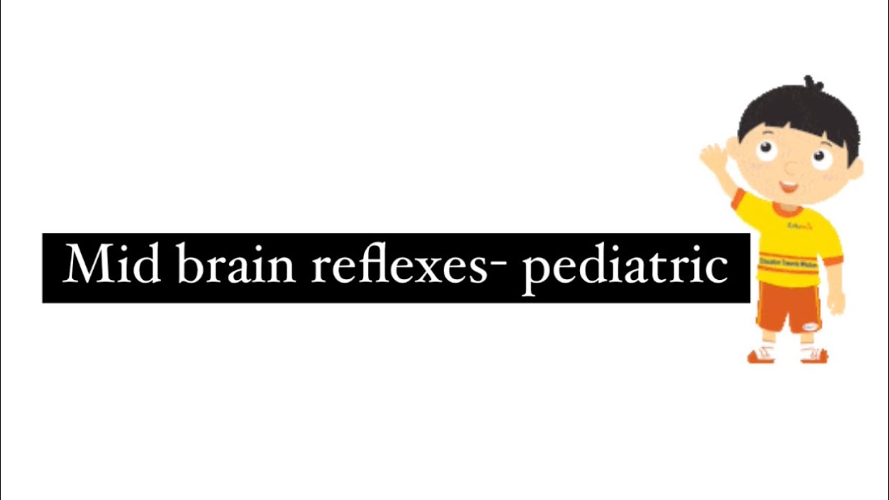 Mid brain reflexes- pt pediatric - YouTube