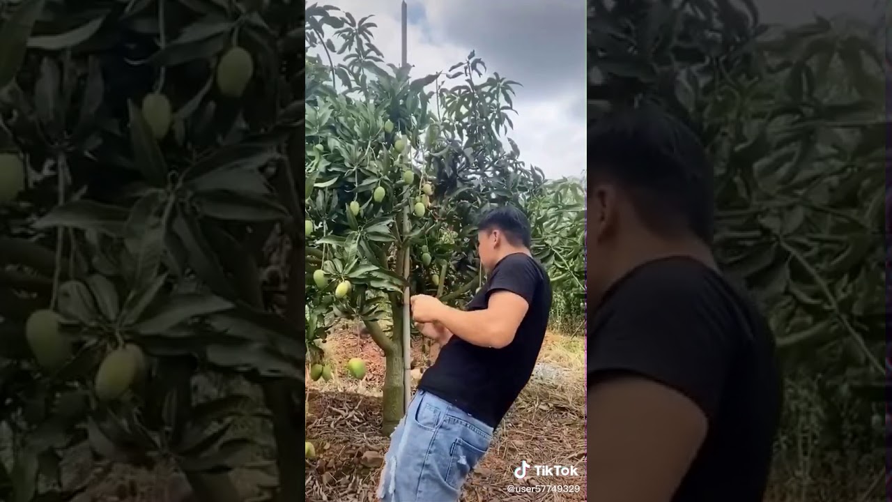 Kahit walang batas bawal parin ang magnakaw - YouTube