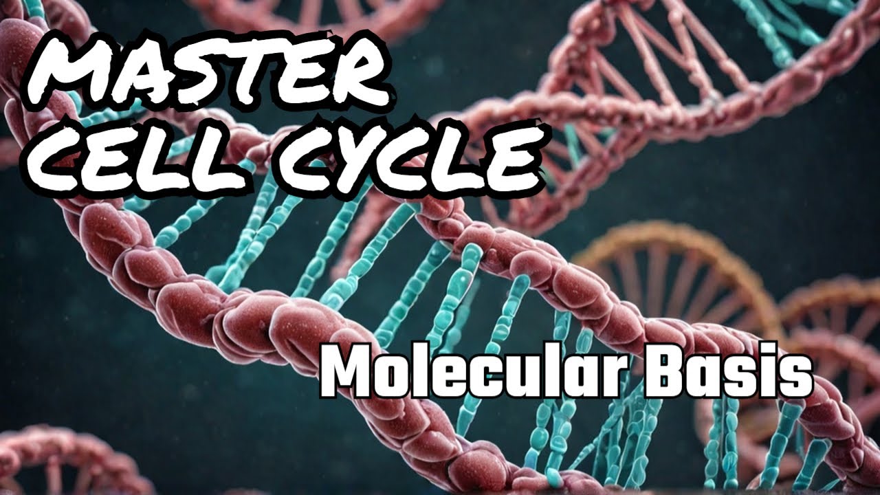 Molecular Basis of Cell Cycle / Cell Division | TGT/PGT Biology # ...