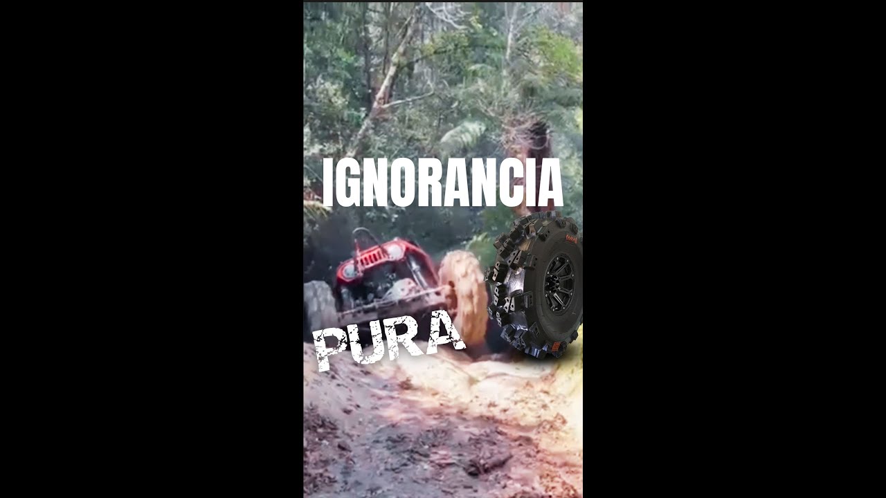 GENIUS IGNORANTE 5 - YouTube